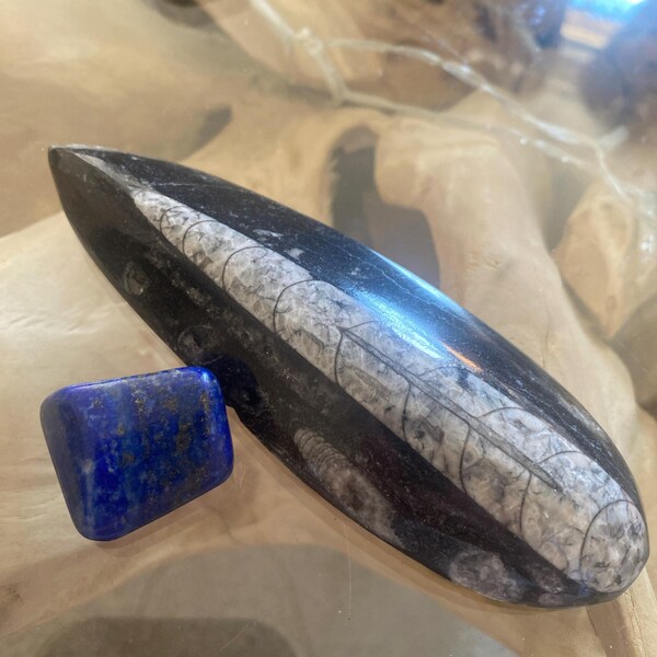 Rare Fulgurite - Lightning Stone - Petrified Lightning - Lightning ...