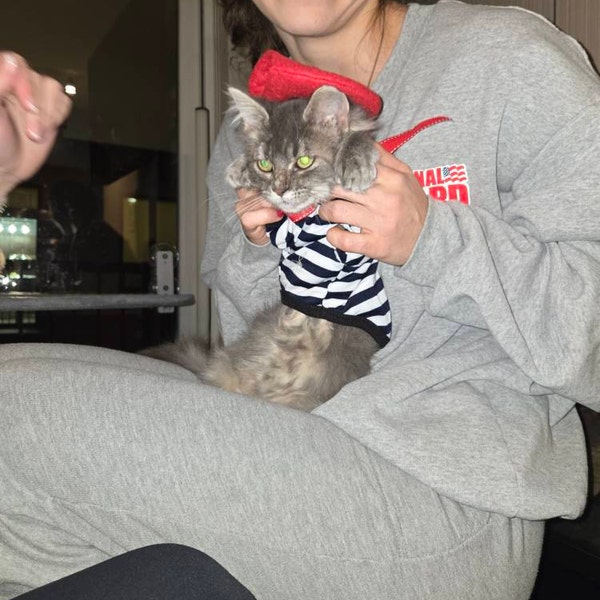 Complete French Cat Outfit- Cat Beret, Ascot and Striped Shirt Pet ...