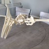 3D Welded Metal T-rex Skeleton Sculpture - Free Shipping - Etsy