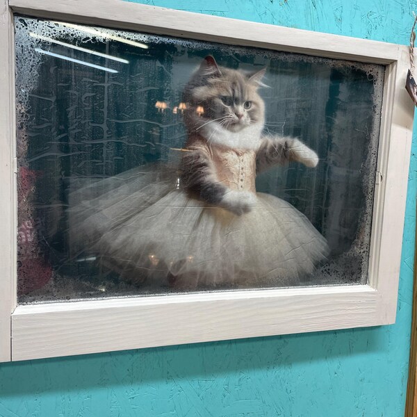 DECAL APPLICATION TOOL by Redesign With Prima, Tool to Apply Furniture ...