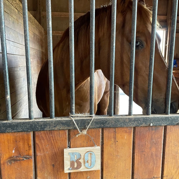 Personalized Oak Stall Plate - Horse Stall Name Plate - Custom Horse ...