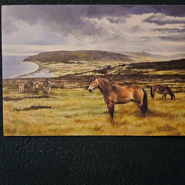 Horse Racing Print "frankel" Signed Limited Edition - Etsy