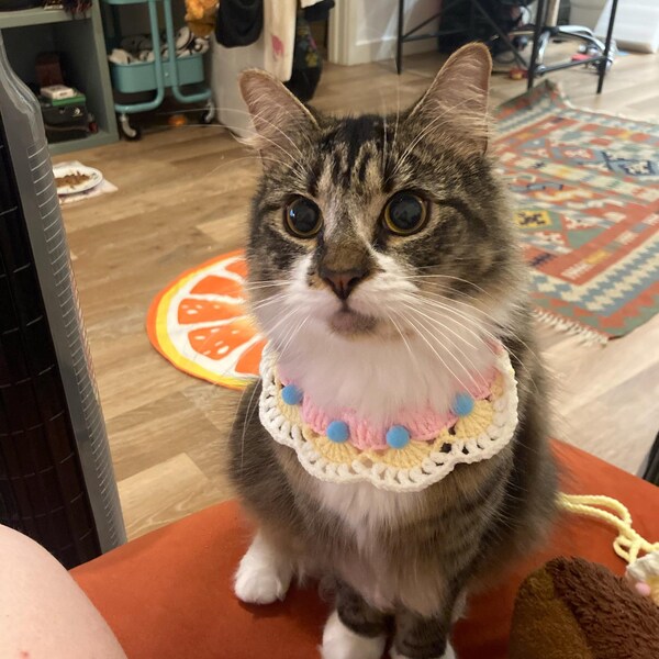 Cat Collar | Crochet | Knitted | Letterbox Gift | Handmade | Cat Lady ...