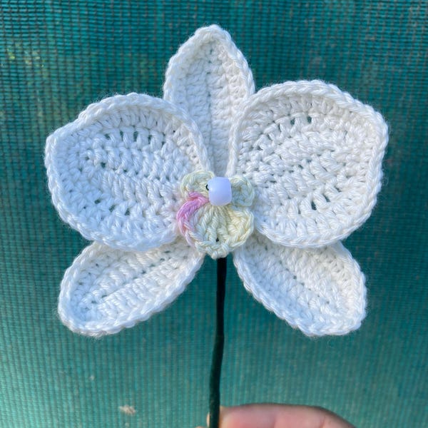Begonia Escargot Pot Crochet Pattern, Amigurumi Plant Crochet Pattern ...
