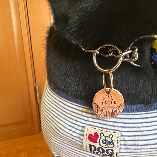 Pet ID Tag - Ocean Dog Tag - Monstera - Dog Collar Tag - Pet Name Tag ...