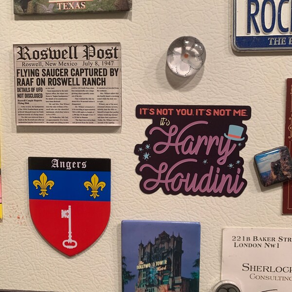 It's Not You, It's Not Me, It's Houdini MAGNET Inspired by Em From and ...
