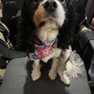 8-bit Ash Ketchum and Pikachu Pokemon Hair Bow Geek Girl Gift - Etsy