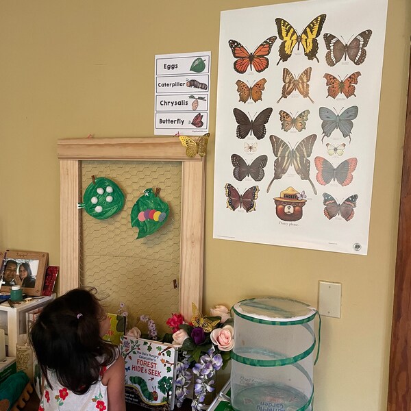 Smokey Bear Tree ID Poster - Etsy