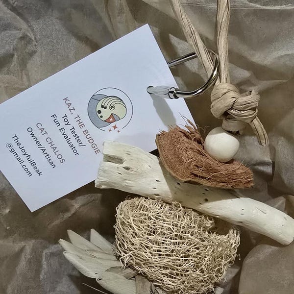 Crazy Daisy - Natural Grass Chew Toy for Small and Medium Sized Birds ...