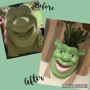 Shrek Planter - Etsy