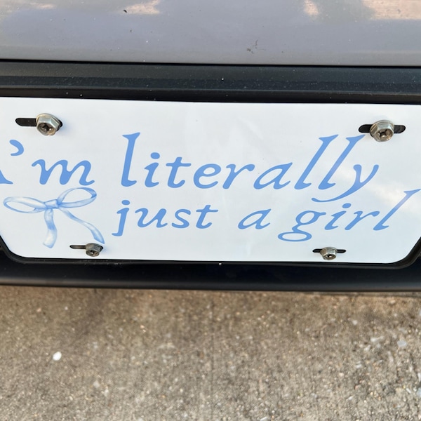 Stained Glass License Plate Frame, Floral Pink Peony Vanity Car Tag ...