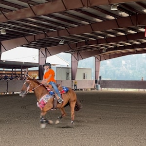 Side Pull Hackamore Pink Mini to Draft Pony Hackamore | Etsy