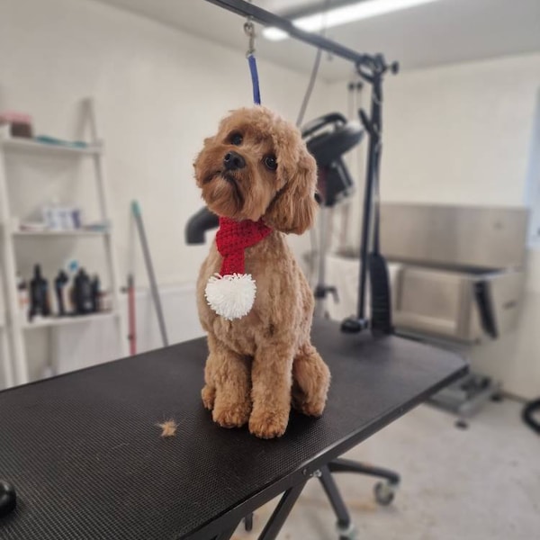 Christmas Dog Scarf With Pompom - Available in 4 Colour Schemes - Santa ...