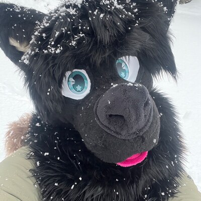 Canine Fox 3D Printed Fursuit Head Base Kit - Etsy