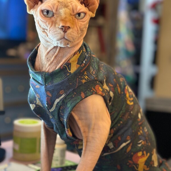 Sphynx Cat Shirt Sphynx Cat Clothes Hairless Cat Clothes Sphynx Cat ...