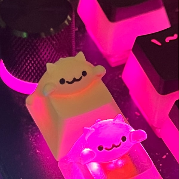 Catty Keycap (bongo Cat Meme Inspired) - Bongo Cat Keycap - Artisan ...