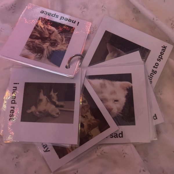 Silly Cat Themed Communication Cards (AAC, Nonverbal Aid, Autism ...