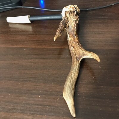 Giant Horse Skin Hide Real Natural Area Rug Living Room - Etsy