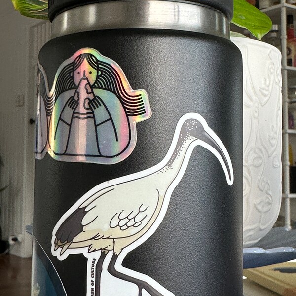 Kiwi Bird Sticker, Kiwiana Sticker, Native Birds From New Zealand, NZ ...