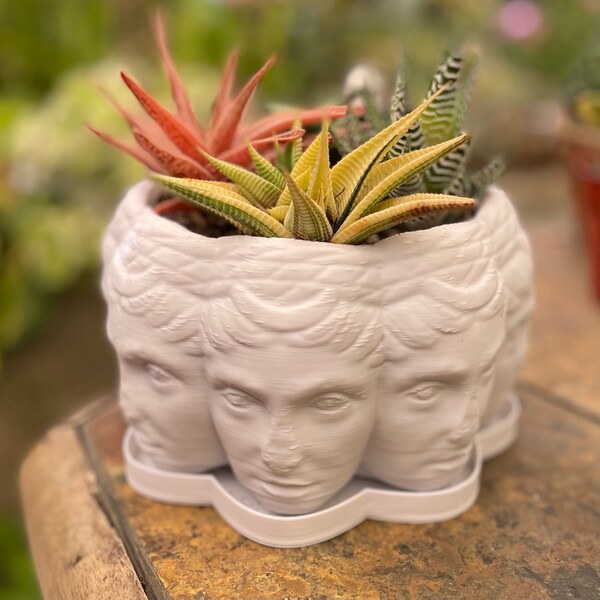 3D Printed Multi-faced Planter - Etsy