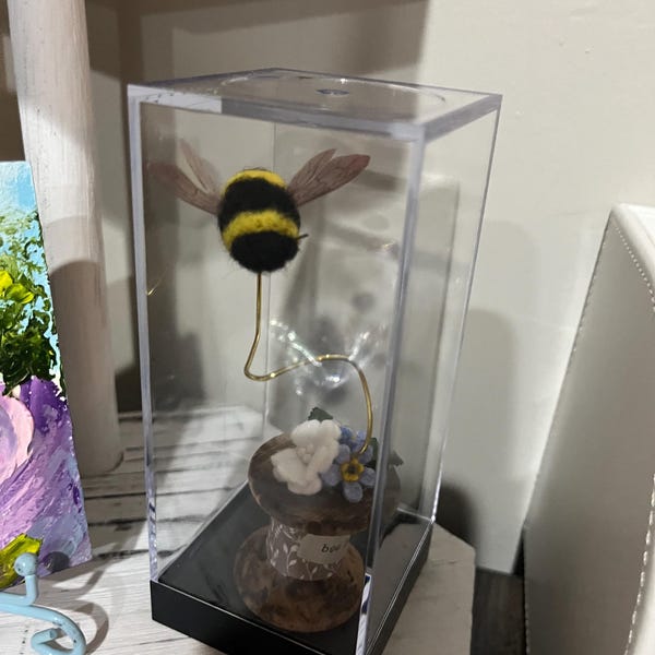 Acrylic Showcase Box for Display, 2 3/16" Tall X 1 3/16" Wide on Four ...