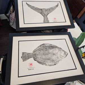 Atlantic Bluefin Tuna Print Caught on Massachusetts' North Shore - Etsy