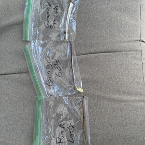 Salal Berry / Gaultheria Shallon 30 Seeds - Etsy