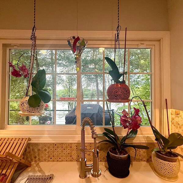 Strawberry Red Hanging Orchid Pot - Etsy