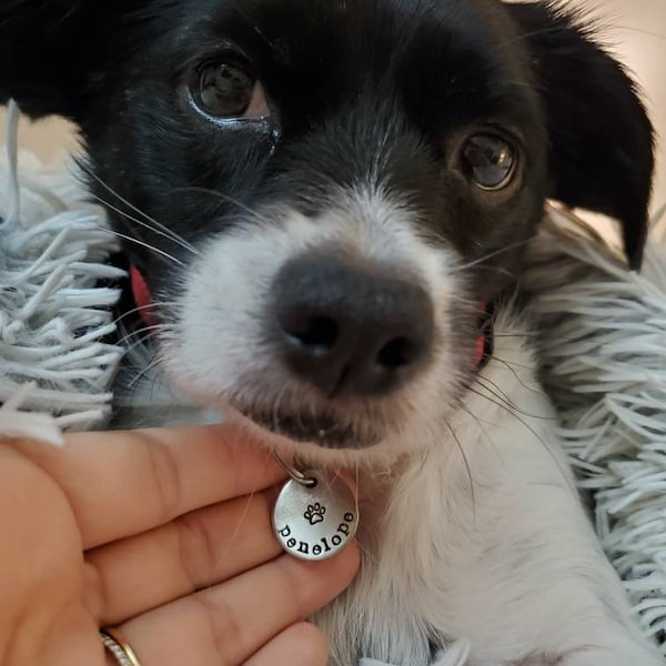SMALL Dog Tag With Bone - Customized Pet Tag - Small Dog Name Tag - Etsy