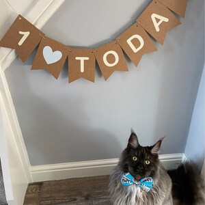 First Birthday Party Decoration One Today Banner Bunting | Etsy