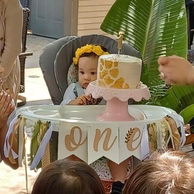 Dinosaur Cake Topper First Birthday Neutral Earth Tones Party ...