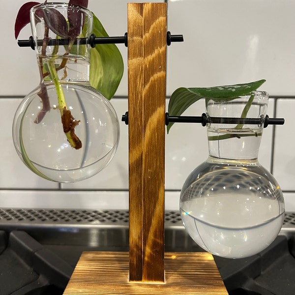 Plant Propagation Vase Gardening Planter Set Hydroponic Houseplant ...