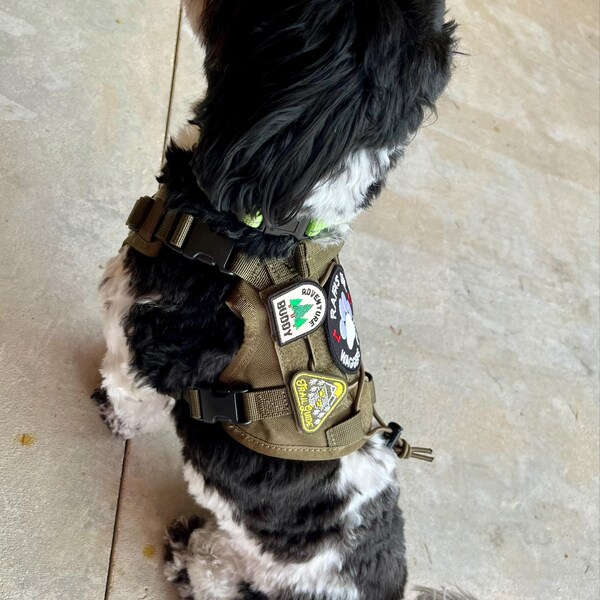 Adventure Buddy Patch for Dogs | Iron-on | Velcro - Etsy