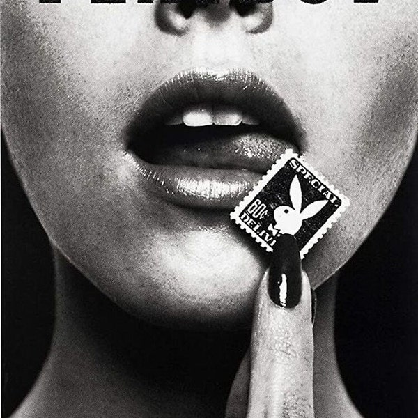 Phoenix Pyrography Wall Art Custom Wall Decor Fire Bird Wall Decor - Etsy