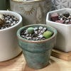 Succulent Planter / Azalea Pot / Ceramic Succulent Pot / Ceramic Flower ...