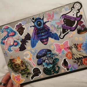 Large Vinyl Transparent Insect Stickers Die Cut Decal Set Waterproof ...