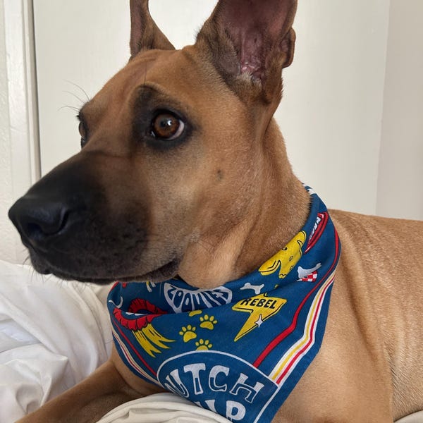 Dutch Bros Merch Drops - Etsy
