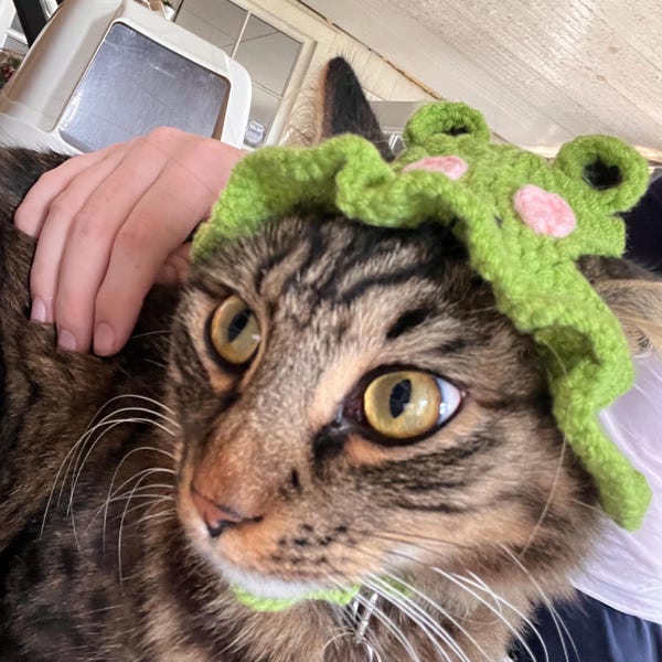 Cat Birthday Outfit | Crochet | Knitted | Letterbox Gift | Handmade ...