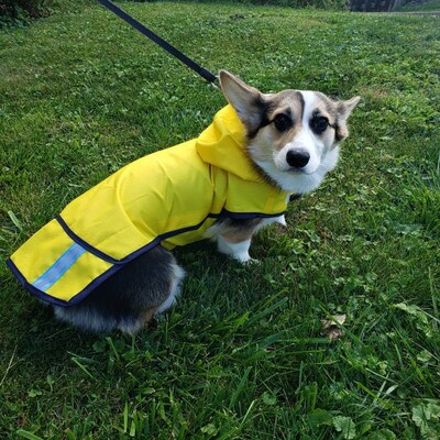 Corgi Rain Jacket - Etsy