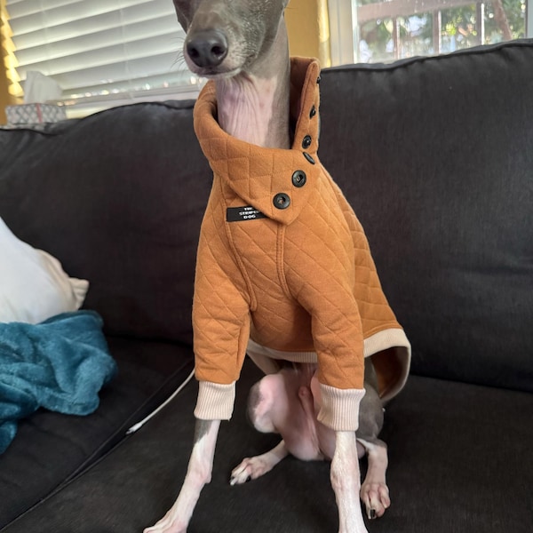 Italian Greyhound/whippet Navy Blue Hoodie With Stripes, Dog Clothes ...