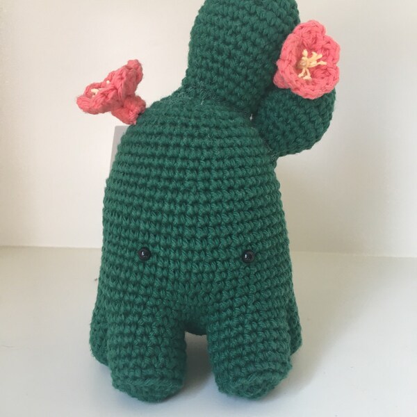 Emma Cactus - Etsy
