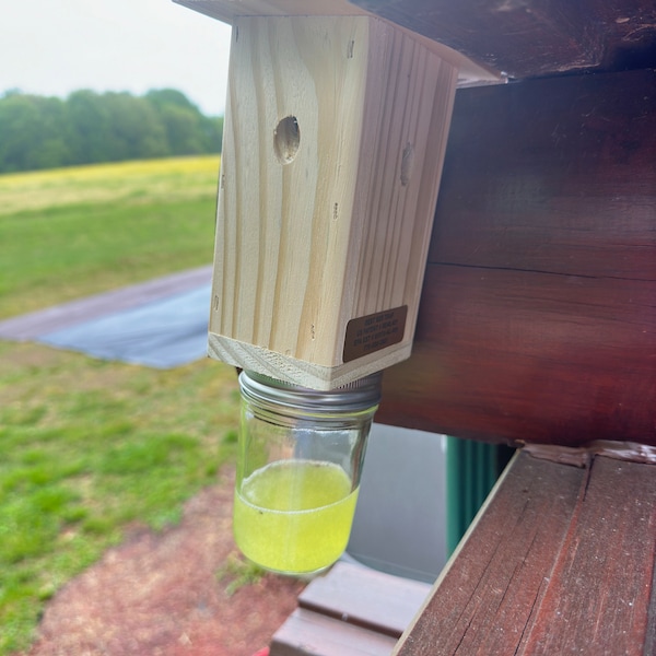 Best Carpenter Bee Trap chalet Style Carpenter Bee Trap wood Boring Bee ...