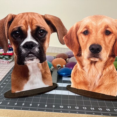 Boxer, Boxer Display, Boxer Head Display, Dog Collar Display,dog ...