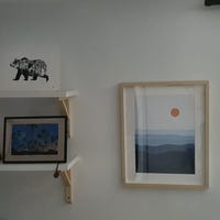 Animal Scat Print - Woodland Animal Droppings Poster, Wilderness Poop ...