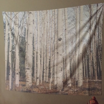 Roots of Life Woodland Nature Photography, Fine Art Print, Tree Roots ...