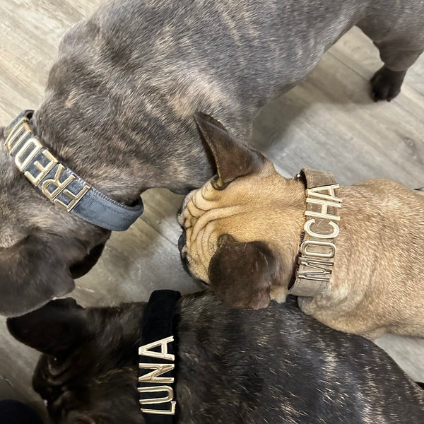 Personalized Dog Collars With Metal Letter Name, Female Dog Collars ...