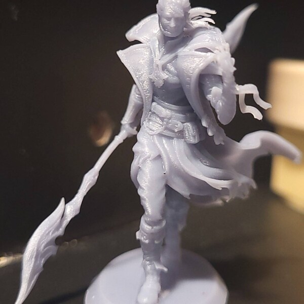 Leonin Monk Miniature- Leonin Fighter, Feline Brawler Mini for 5e ...