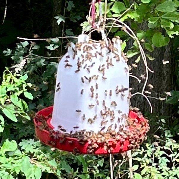 3D Printed Bee Ladder for Bird Baths Provide a Safe Haven for Your ...
