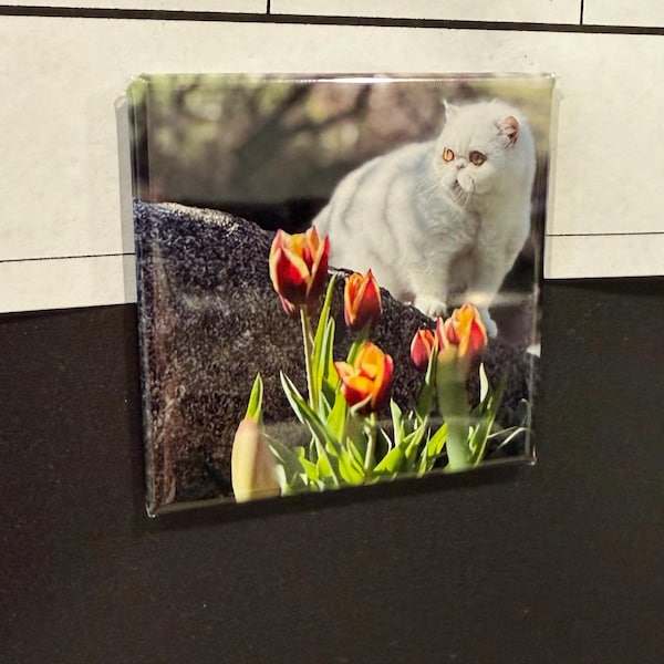 Custom 2.25" Round Photo Magnets - Etsy