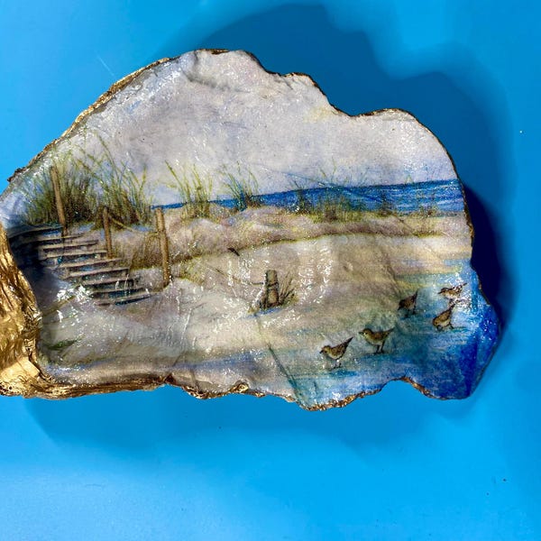 Set of 30 Baby Oyster Shells (.5 - 1.5)| Crafting Ready | Nautical ...